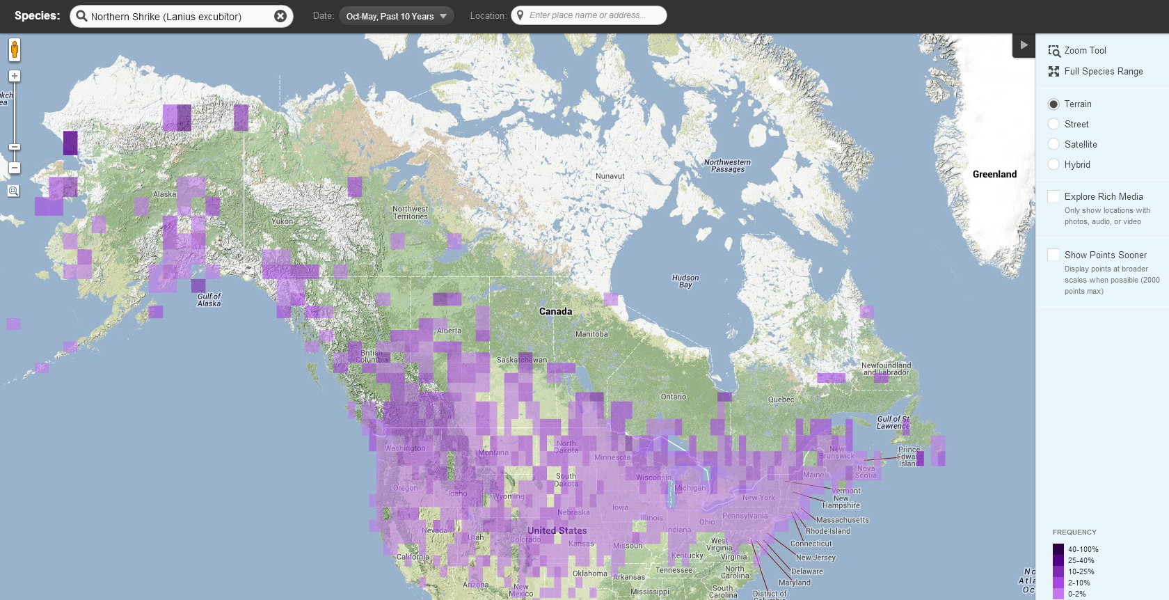 Canada's Shrikes, a tale of two seasons - Bird Canada